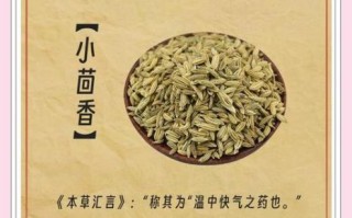 小茴香的功效与作用及禁忌_哪些人不能吃小茴香