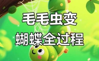 毛毛虫怎么变蝴蝶_蝴蝶蜕变过程多久