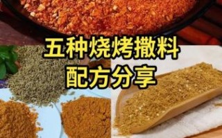 川味烧烤撒料配方大全_如何调出正宗麻辣味