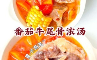 番茄牛骨汤怎么做_番茄牛骨汤配料窍门