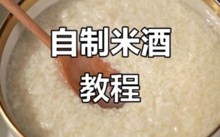 酸奶机可以做酒酿吗_自制酒酿步骤