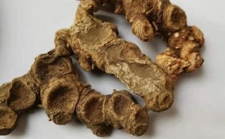 消肿散结最好的中草药有哪些_怎么使用最有效