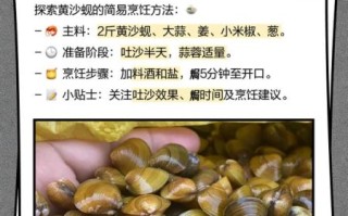 蚬怎么读拼音_蚬子是什么东西