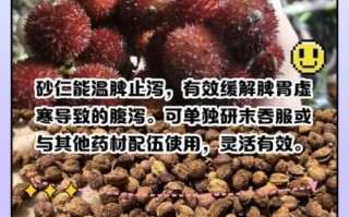 砂仁什么人不能吃_砂仁的禁忌与副作用