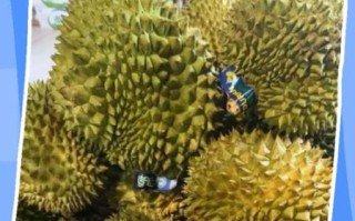 榴莲开了合上去还会熟吗_榴莲打开后没熟怎么办