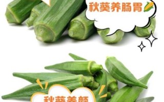 黄秋葵软胶囊功效_黄秋葵软胶囊适合什么人吃