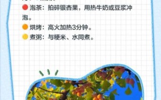 银杏果能吃吗_银杏果怎么吃才安全