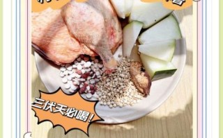 老鸭冬瓜汤怎么炖好喝_老鸭冬瓜汤的做法步骤