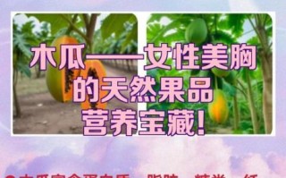 木瓜有丰胸作用吗_吃木瓜能增大胸部吗