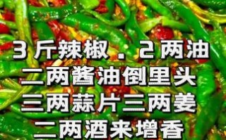腌辣椒的做法大全视频_一年不会坏