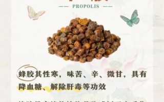 蜂胶的作用与功效价格_适合什么人吃