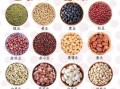 豆类图片大全_如何识别常见豆类