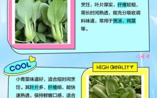 青菜有哪些种类_如何挑选新鲜青菜