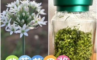 韭菜花酱怎么做_自制韭菜花酱的做法