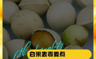 白果的副作用有哪些_白果中毒怎么办