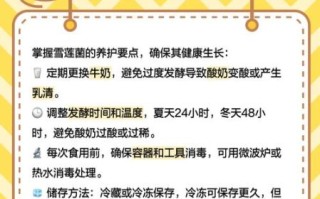 天山雪莲菌的功效与作用_天山雪莲菌怎么吃法