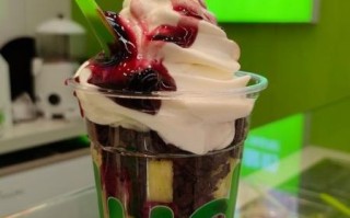 salud欧洲冻酸奶加盟条件_salud冻酸奶热量高吗