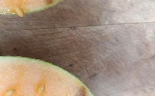 哈密瓜坏了发苦有毒吗_吃了会中毒吗