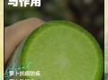 水果萝卜的功效与作用禁忌_什么人不能吃