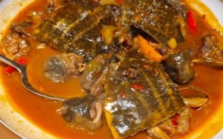 红烧甲鱼怎么做_甲鱼清汤怎么炖