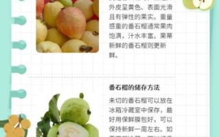 番石榴怎么吃_番石榴的正确吃法技巧