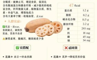 孕妇能吃莲藕吗_莲藕的功效与作用孕妇