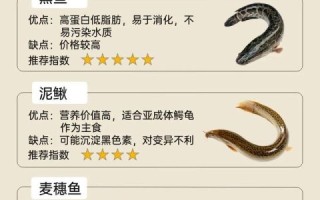 鳄鱼龟怎么吃最好_鳄鱼龟怎样吃最营养