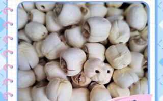 干莲子怎么泡发_干莲子煮粥前要泡多久