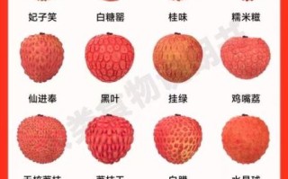 荔枝病是什么症状_荔枝病怎么预防