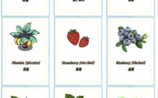 菠萝英文怎么读_pineapple发音技巧