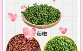 花椒是什么_花椒的用途有哪些