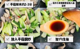 油菜平菇怎么炒好吃_油菜平菇的家常做法