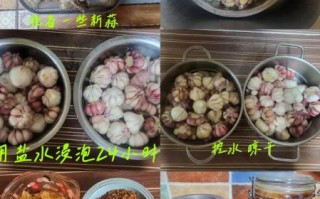 白蒜怎么腌制好吃_家常白蒜腌制方法大全