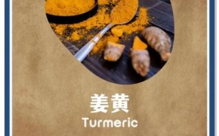 黄姜粉的功效与作用_黄姜粉怎么吃效果最好