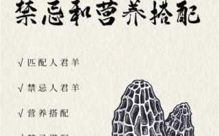 羊肚菌孕妇可以吃吗_孕期吃羊肚菌的注意事项