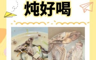 鸭架汤怎么炖好喝_鸭架汤的做法窍门