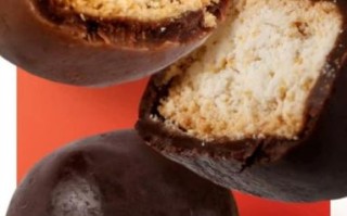 巧克力球向井裕是什么_怎么制作