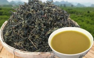 恭城油茶用什么茶叶_恭城油茶茶叶品种
