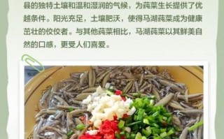 莼怎么读_莼菜发音详解