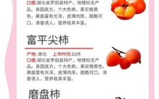 红柿子的功效与作用禁忌_哪些人不能吃