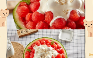 西瓜冰沙怎么做_西瓜冰沙要不要去籽