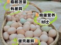 土鸡蛋和普通鸡蛋的区别_哪个更有营养