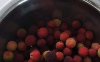 盐腌杨梅怎么做_盐渍杨梅保存多久