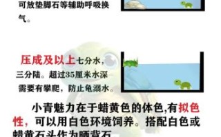 黄喉拟水龟寿命有多长_如何延长黄喉拟水龟寿命