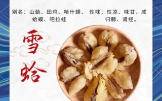 雪蛤的营养价值及功效与作用_雪蛤适合什么人吃
