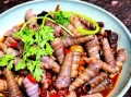 钉螺煮多久能杀死寄生虫_钉螺寄生虫高温杀灭时间