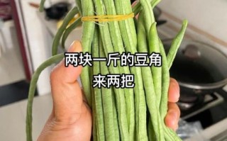 腌酸豆角怎么腌制才脆_腌酸豆角要不要焯水