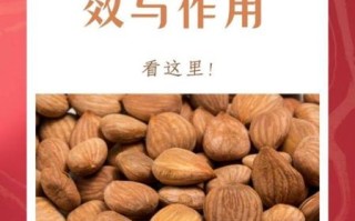苦杏仁的正确吃法_苦杏仁一天吃几颗