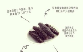 中国十大海参品牌有哪些_如何挑选正宗辽参