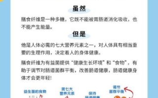 膳食纤维是什么_膳食纤维的作用有哪些 膳食纤维是什么_膳食纤维的作用有哪些